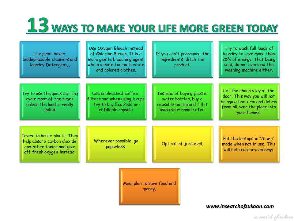 13 Ways To Make Your Life More Green Today