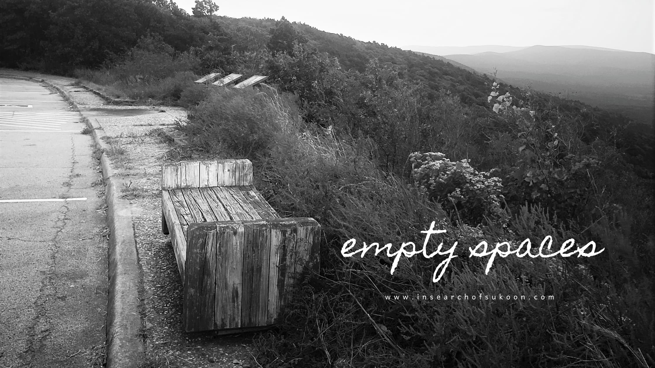 EMPTY SPACES